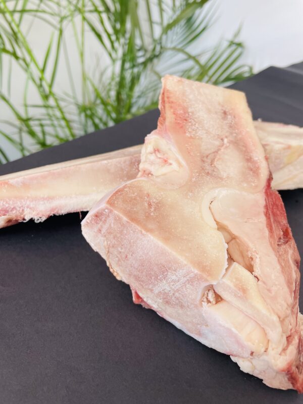 Premium Large Beef Marrow Bones - Urban Pet Food